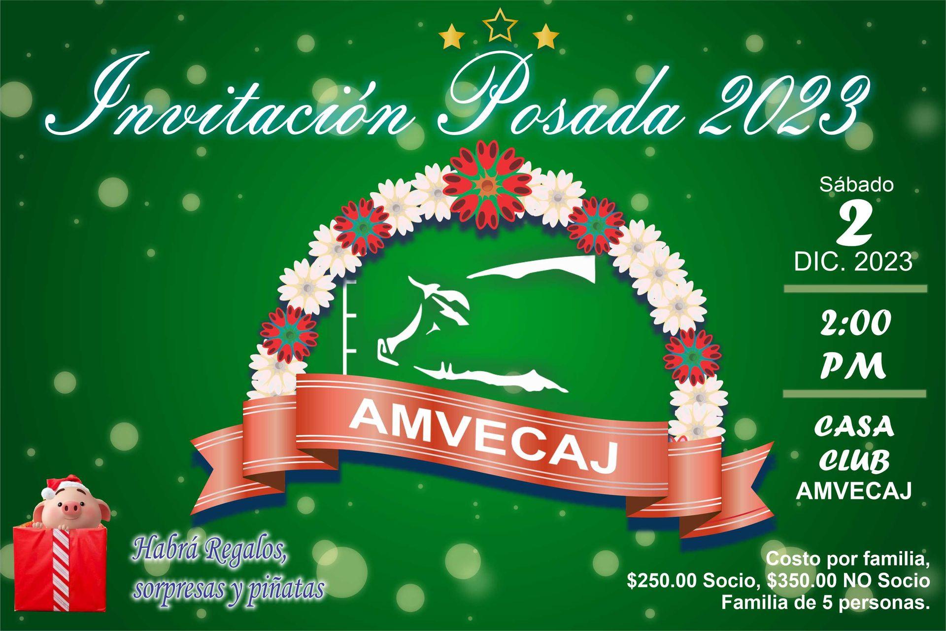 Home | Website AMVECAJ